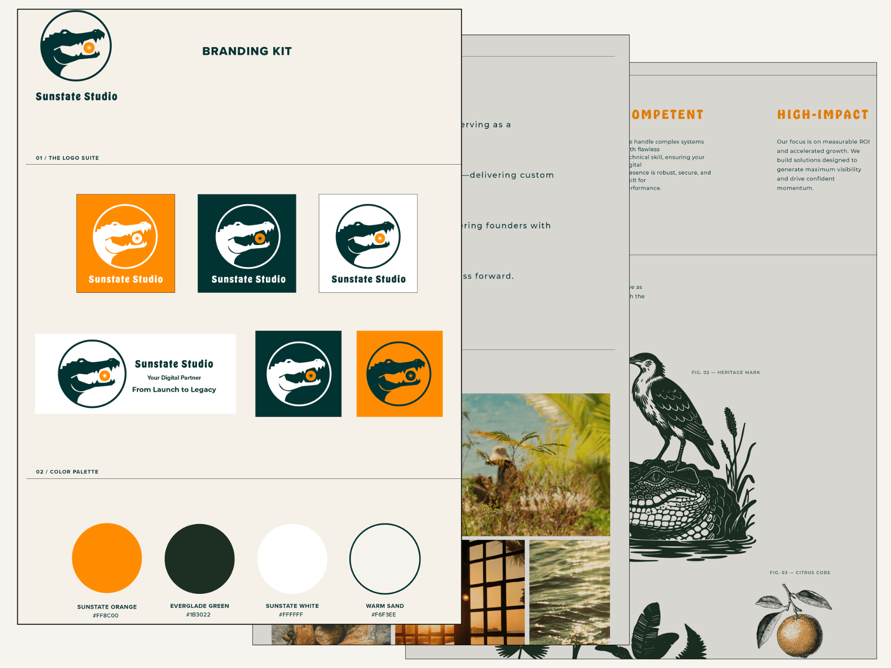 Website Design for Small Businesses in Florida | Sunstate Studio